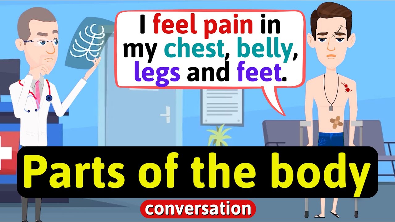 Parts of the body (Health and illnesses) - English Conversation ...